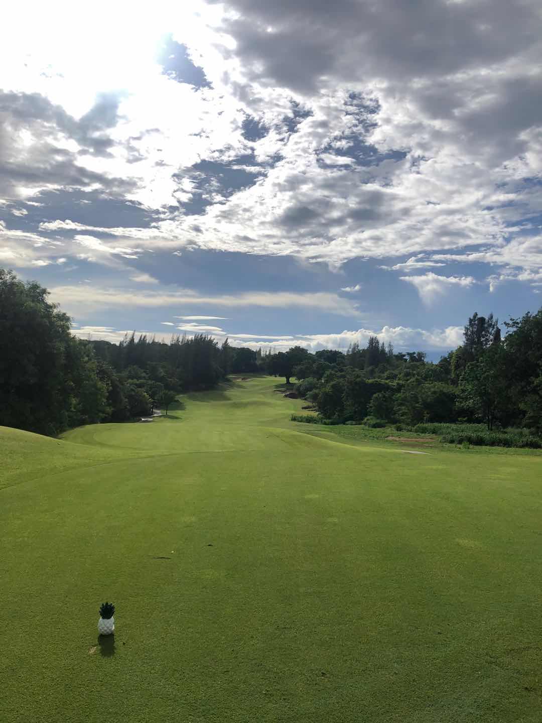 Pineapple Valley golf resort - Asia Golf Breaks